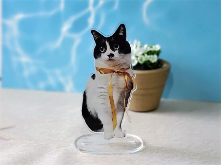 【ACRY(アクリー)】知らなきゃ損するアクリルグッズ作成アプリ | ねこのちくわ。〜にゃんだふるストーリー〜